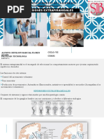 Sindromes Extrapiramidales | PDF | Ganglios basales | Neurociencia