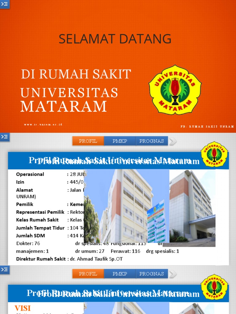 Rsum Ppt Final1 Pdf