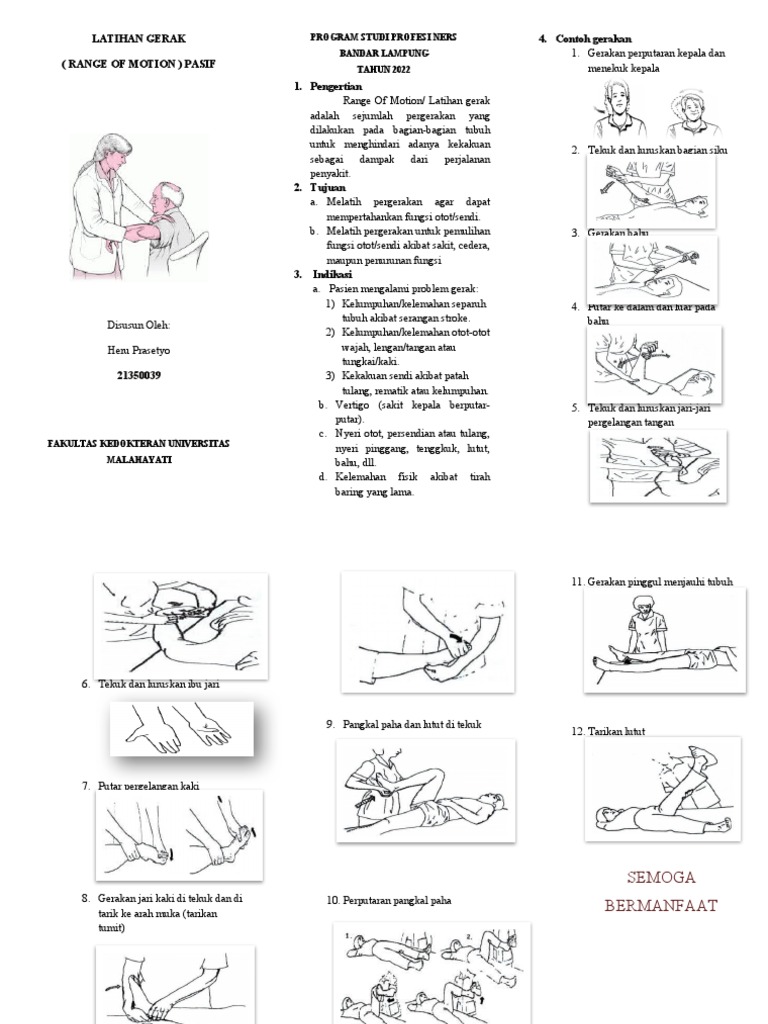 Leaflet Rom Pasif | PDF