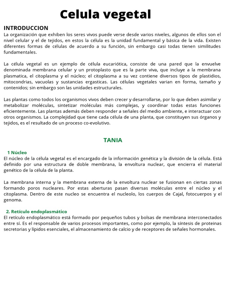 Celula Vegetal | PDF | Biología Celular) | Plantas