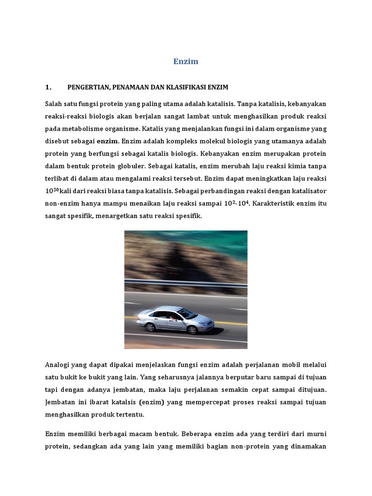 Enzim Dan Kinetika Enzim | PDF | Sains & Matematika