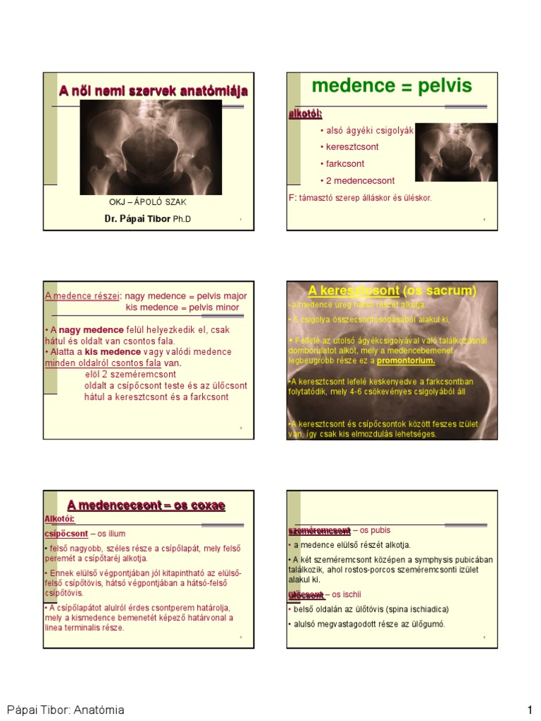 Női Nemi Szervek | PDF