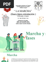 Tipos de Marcha en Neurología | PDF | Distonia | Pie
