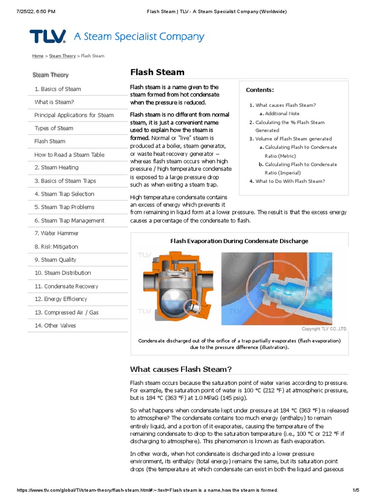Flash Steam - TLV - A Steam Specialist Company (Worldwide) | PDF ...