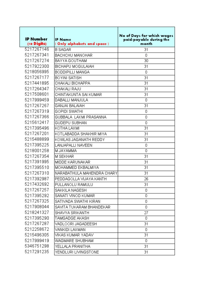 MC Template1 (1) | PDF | Microsoft Excel | Software Development