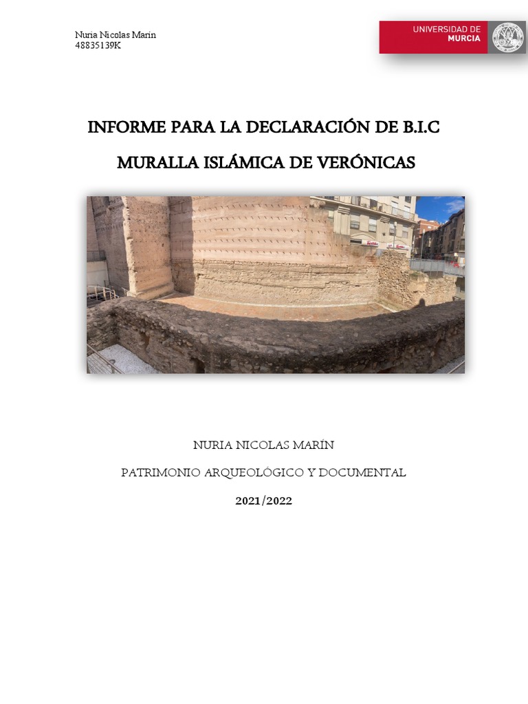Informe para La Declaración de Bic | PDF
