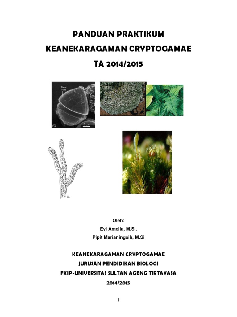 Cryptogamae | PDF