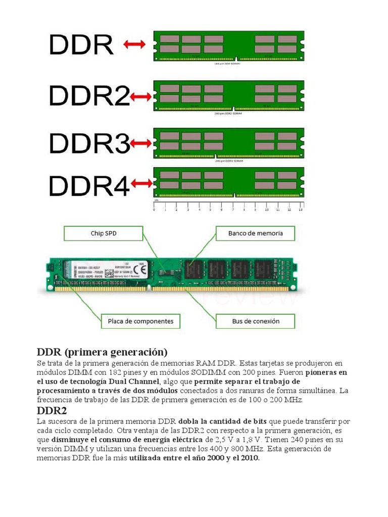 DDR (Primera Generación) | PDF