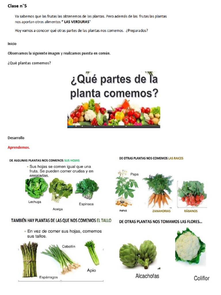 Las Plantas Que Comemos | PDF