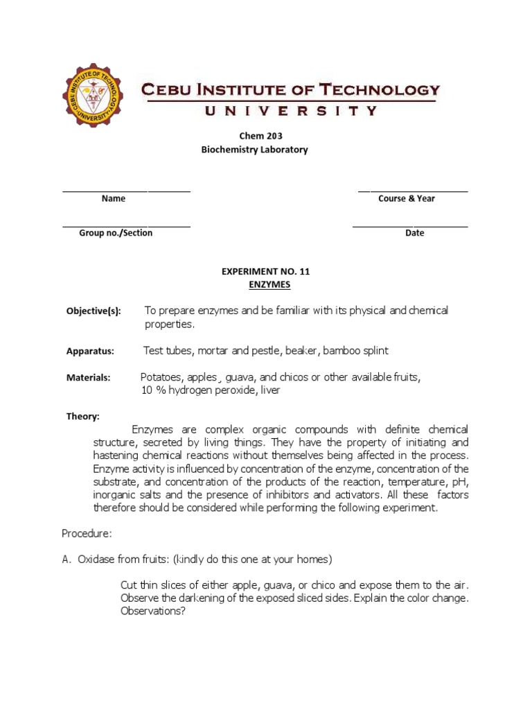 Exp 11 Enzymes Pdf Wellness Science Mathematics