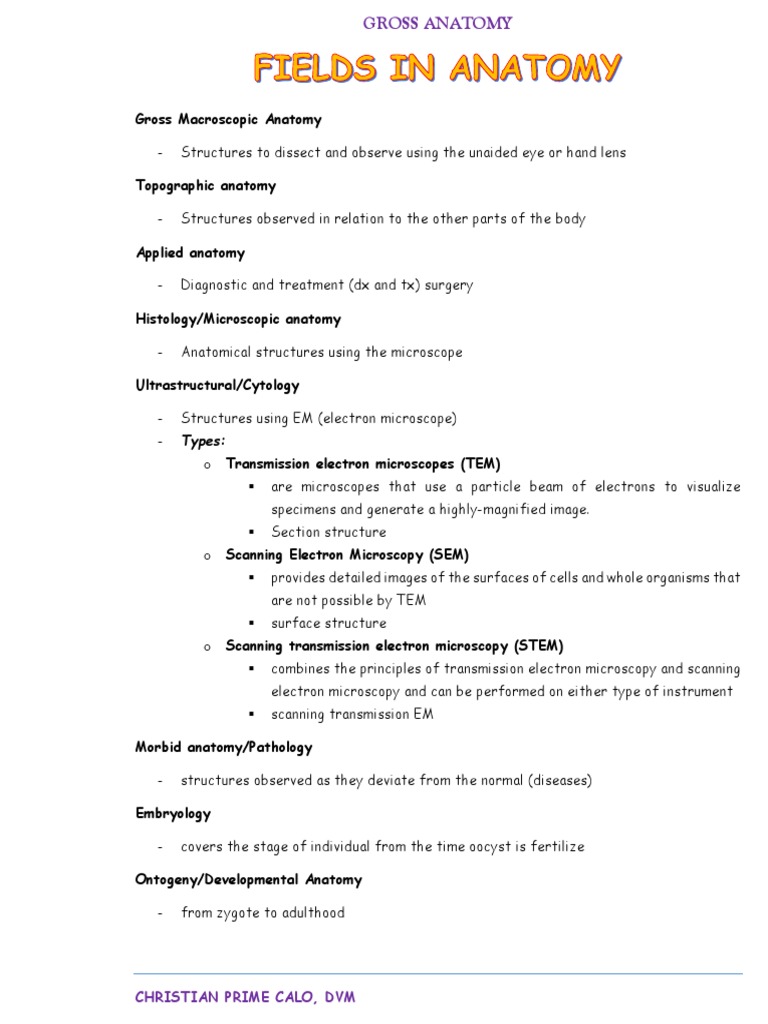 Comprehensive Guide to Gross Anatomy | PDF | Anatomical Terms Of Motion ...