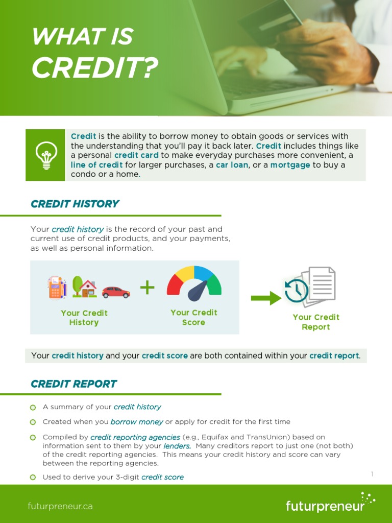 What Is Credit | PDF | Credit History | Credit