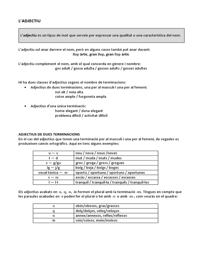 Adjectiu Teoria | PDF