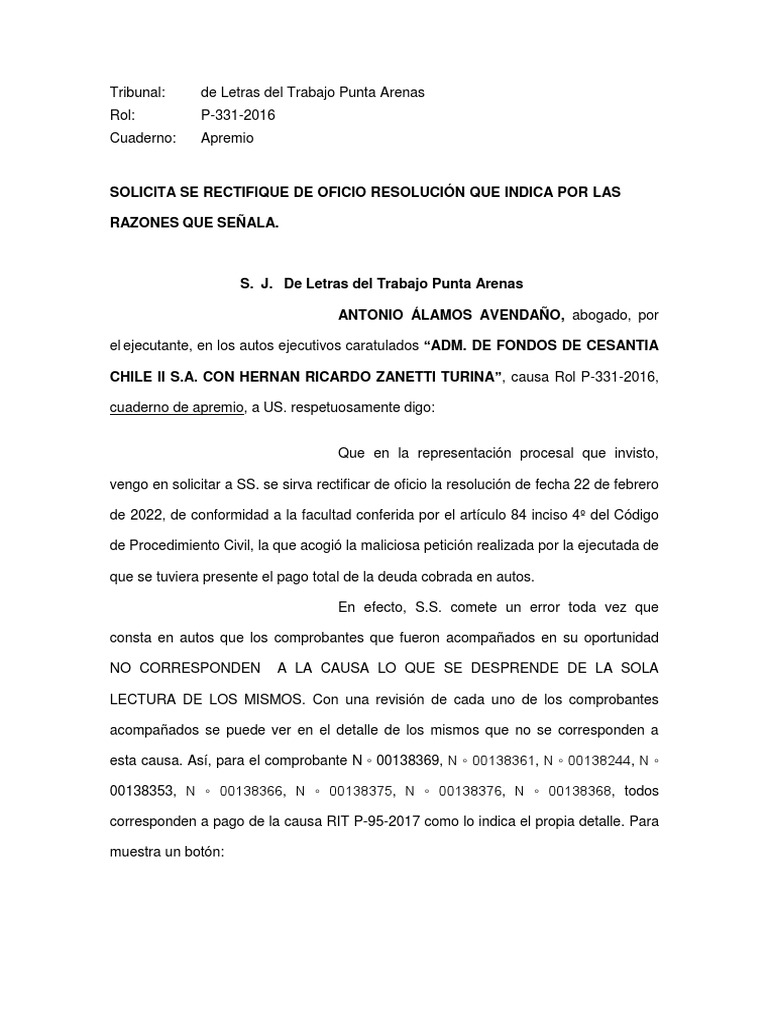 Rectificación Oficio P-331-2016 PUNTA ARENAS | PDF