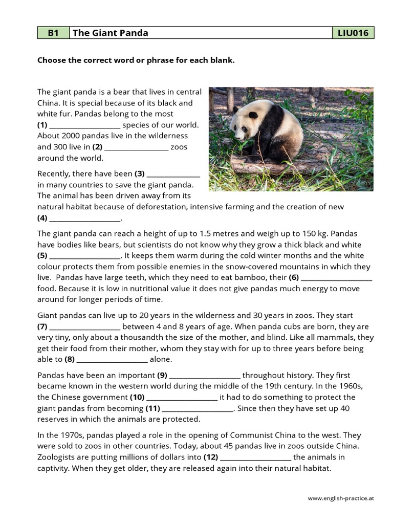 Liu016 Giant Panda | PDF | Giant Panda | Bears