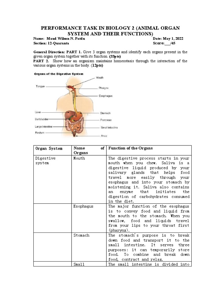 BIOLOGY 2 - 4TH Qaurter - PETA - 2021-2022 | PDF | Respiratory Tract | Human Digestive System