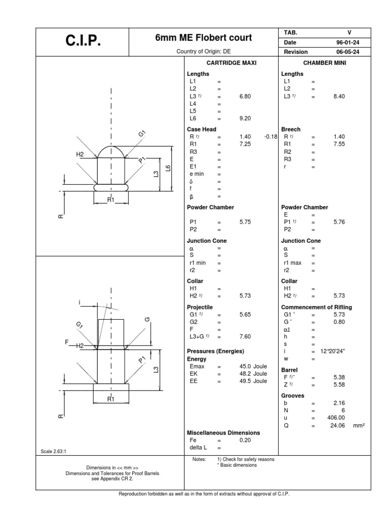 6mm Me Flobert Court en | PDF | Military Technology | Pistol And Rifle Cartridges
