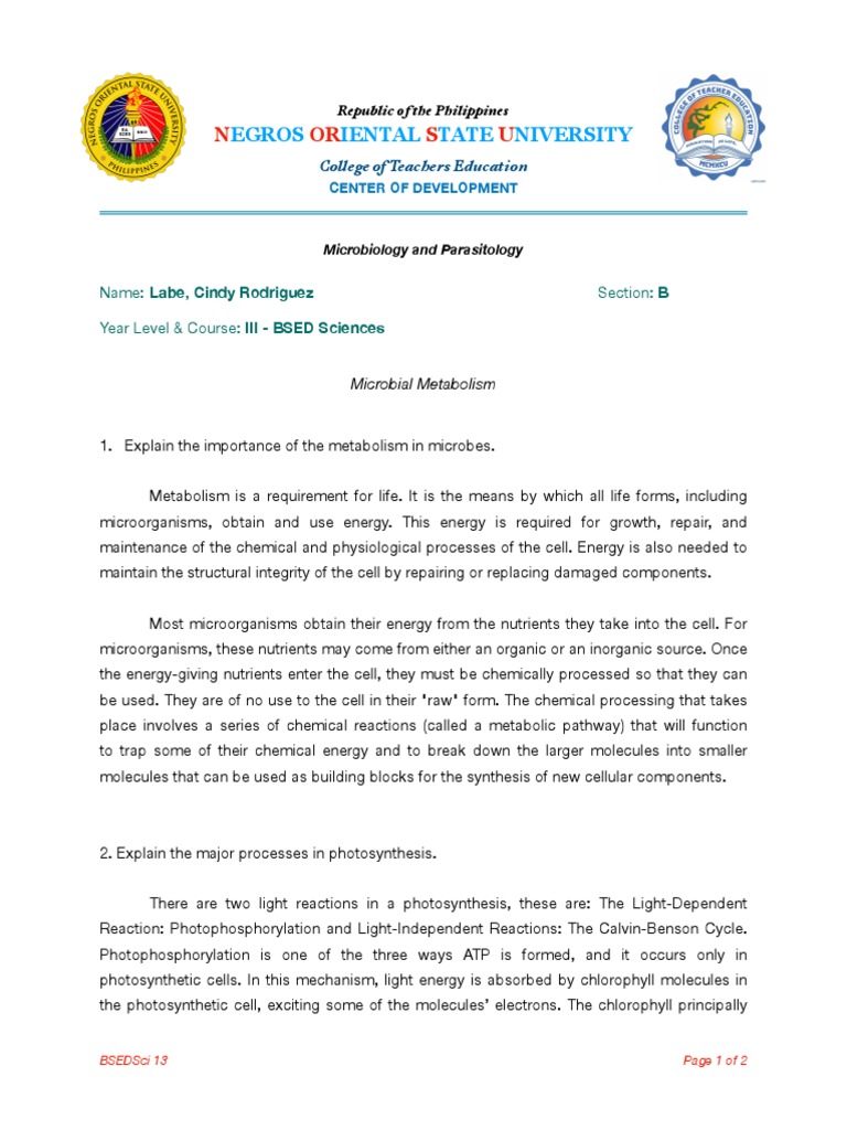 Labe, Cindy R. (Microbial Metabolism) | PDF | Photosynthesis | Metabolism
