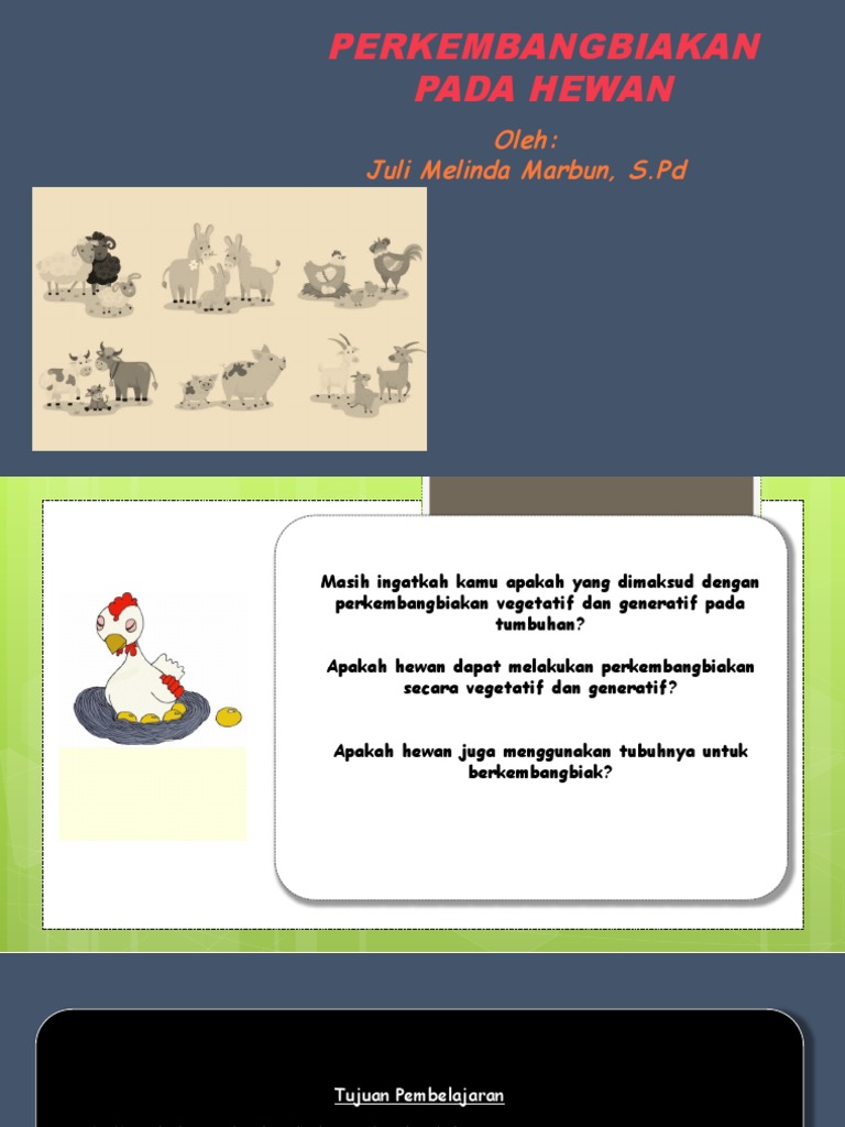 Perkembangbiakan Hewan | PDF