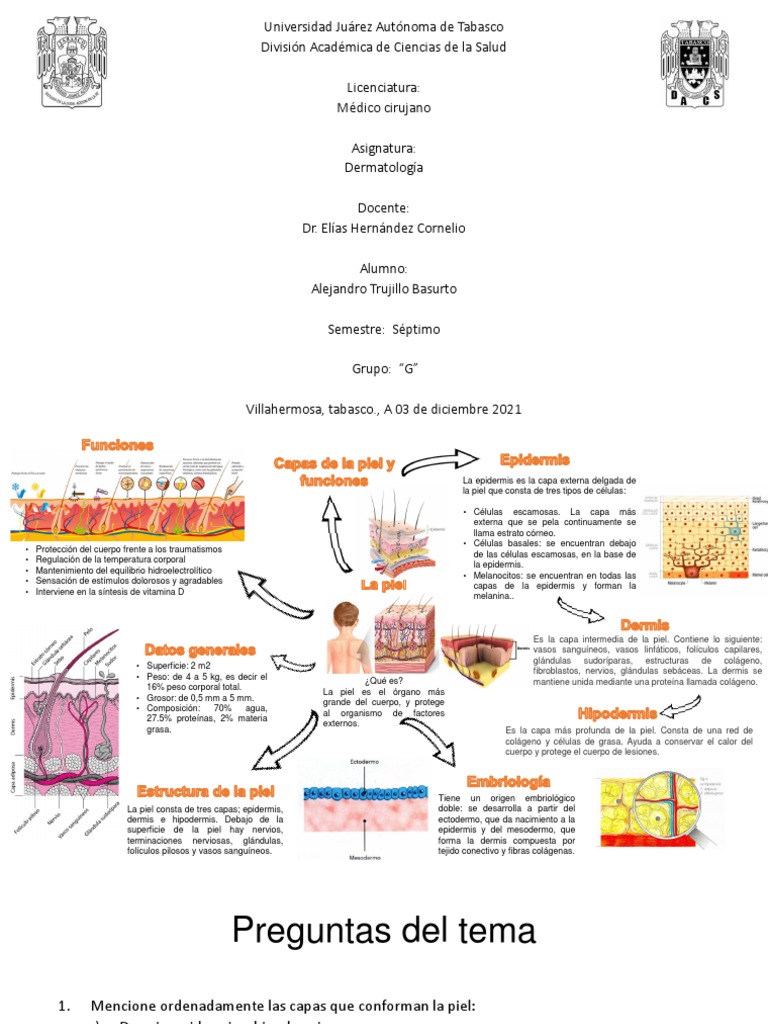 Generalidades de La Piel. Alejandro Trujillo Basurto 7GMC | PDF | Piel ...
