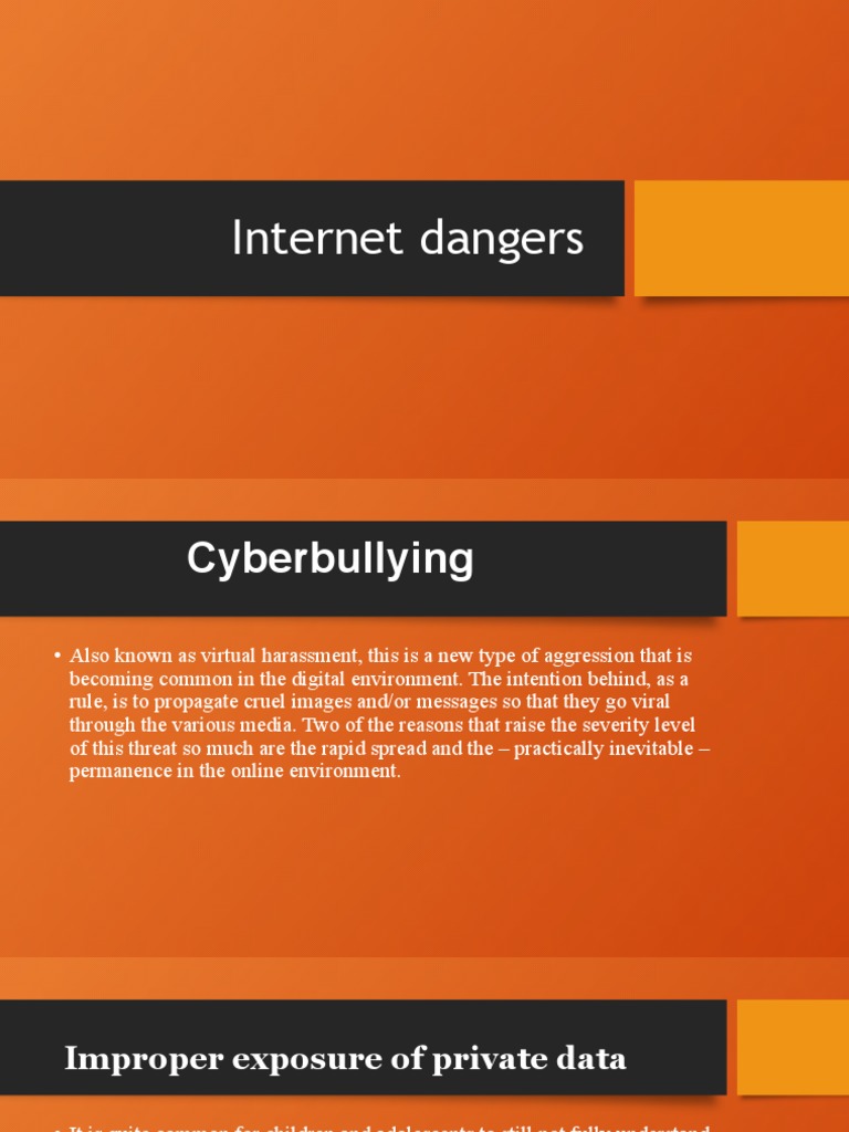 Internet Safety: Cyberbullying & Risks | PDF