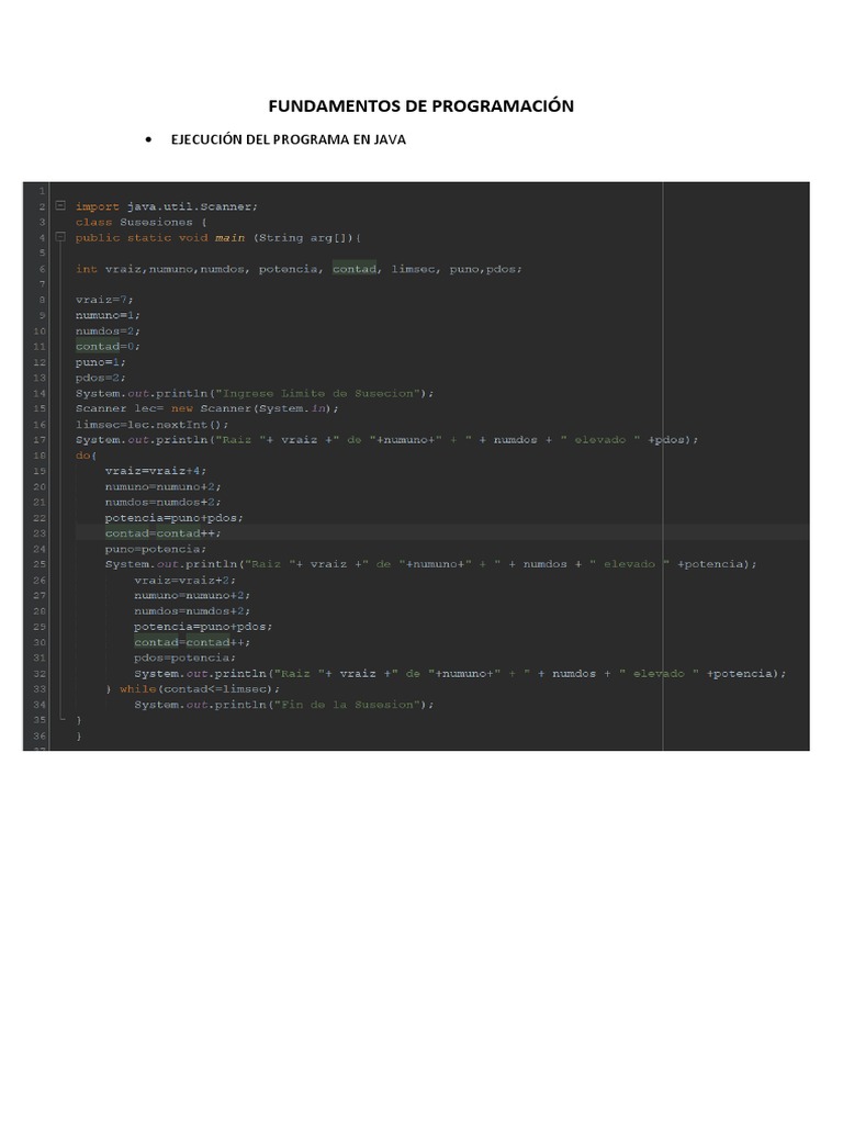 Ejecución de Programas en Java | PDF | Informática