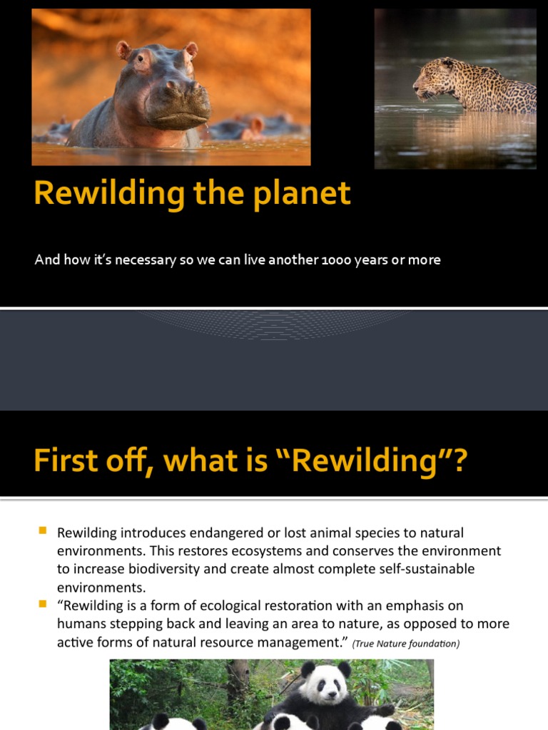 Rewilding the Planet: Restoring Ecosystems and Ensuring Long-Term Sustainability Through ...