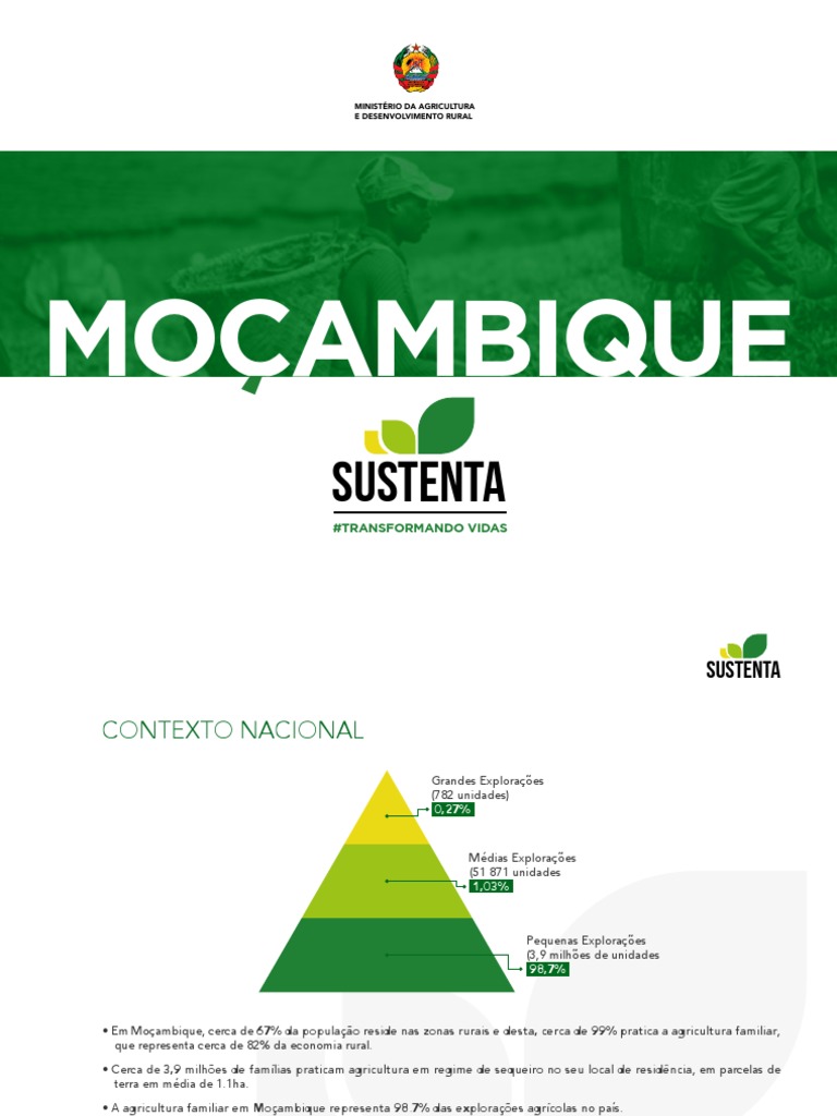 Emailing SUSTENTA PROJECTO FINAL | PDF | Economia | Investimentos