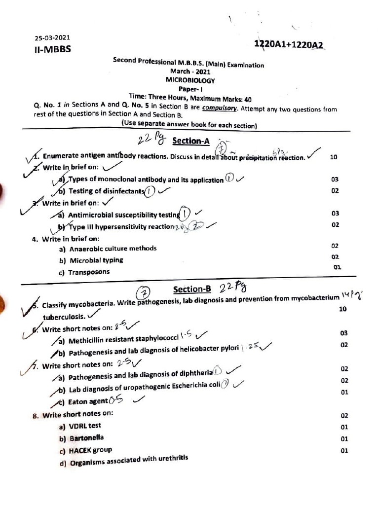 Second Year Previous Year Question Papers | PDF