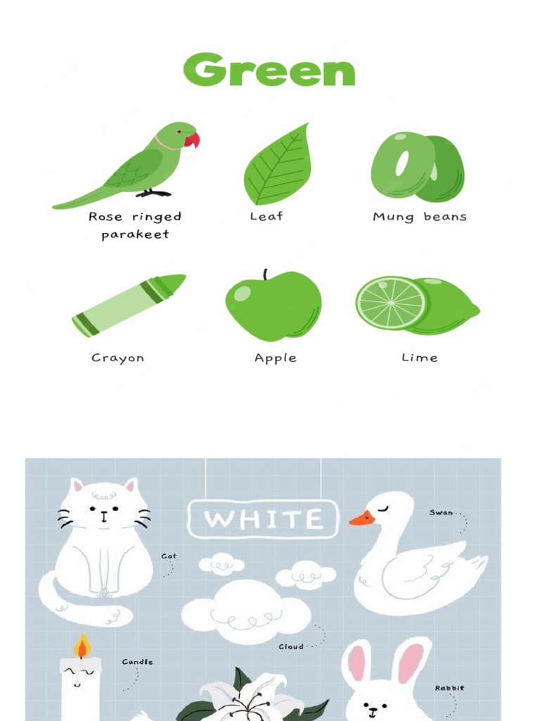 Kindergarten Materials | PDF