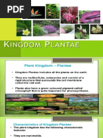 XI-Biology Ch-3 Plant Kingdom PPT-2 | PDF | Spore | Biological Processes