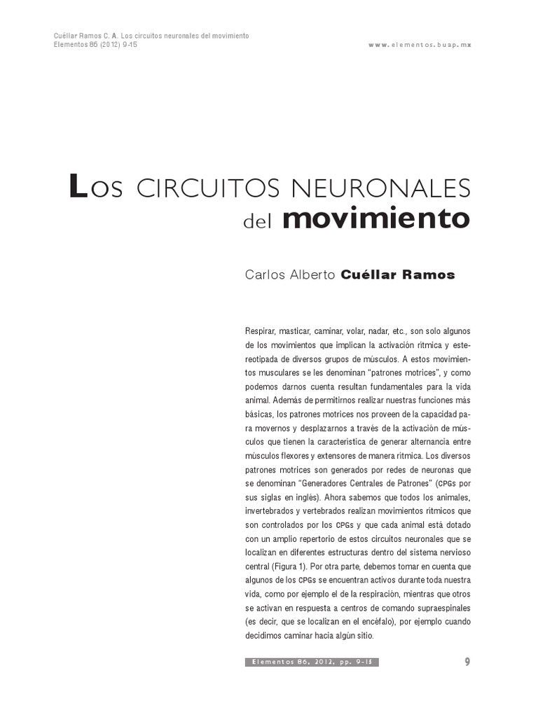 Movimiento: Circuitos Neuronales | PDF | Neurona | Sistema nervioso central