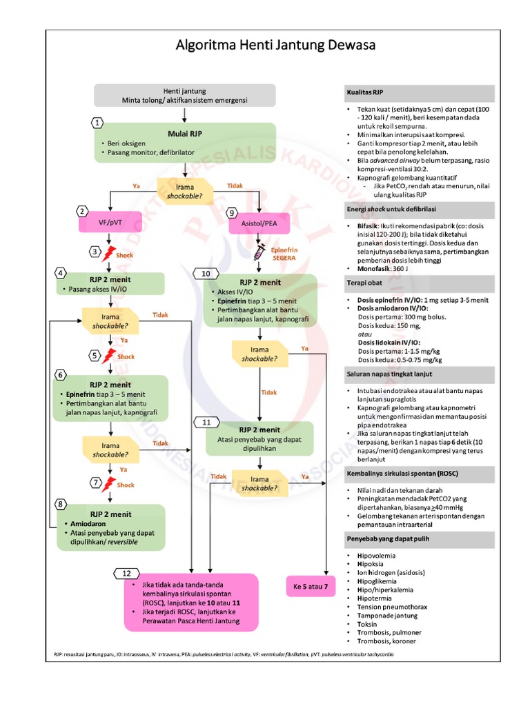 Algoritma Henti Jantung Dewasa | PDF
