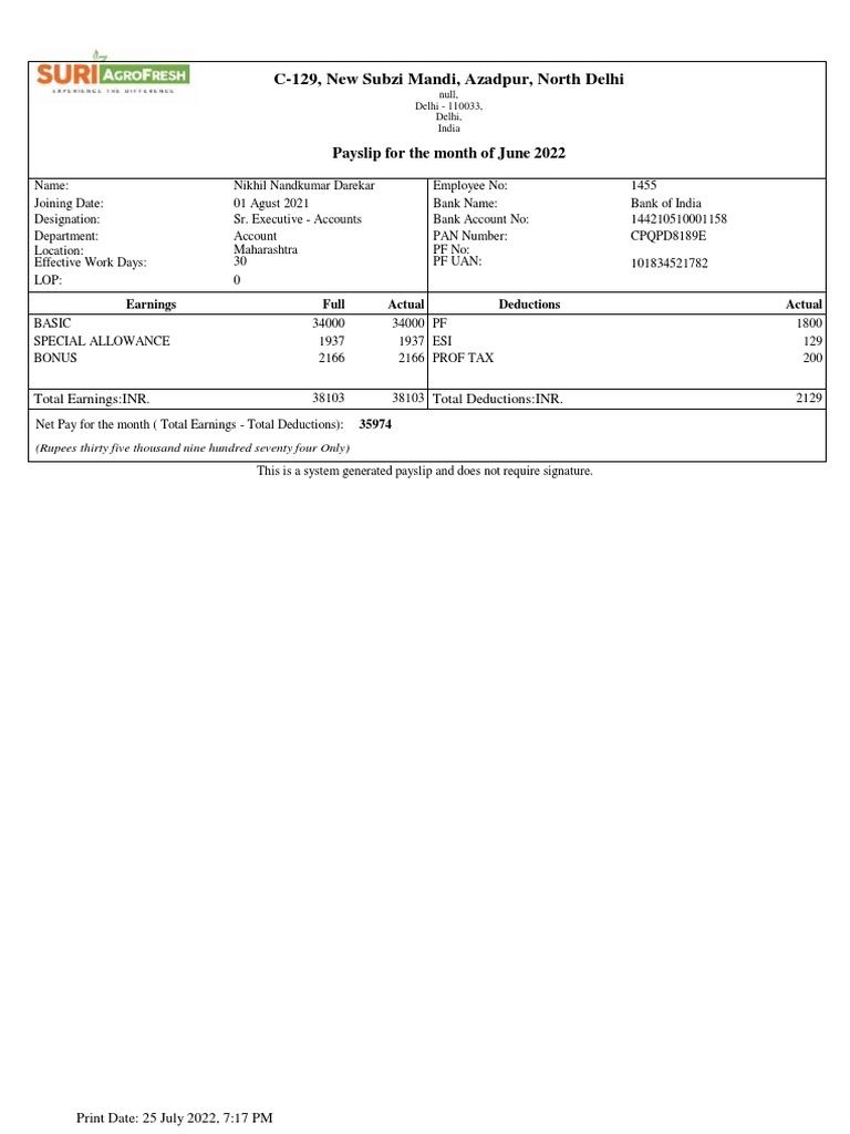 Employee Payslip - June 2022 | PDF