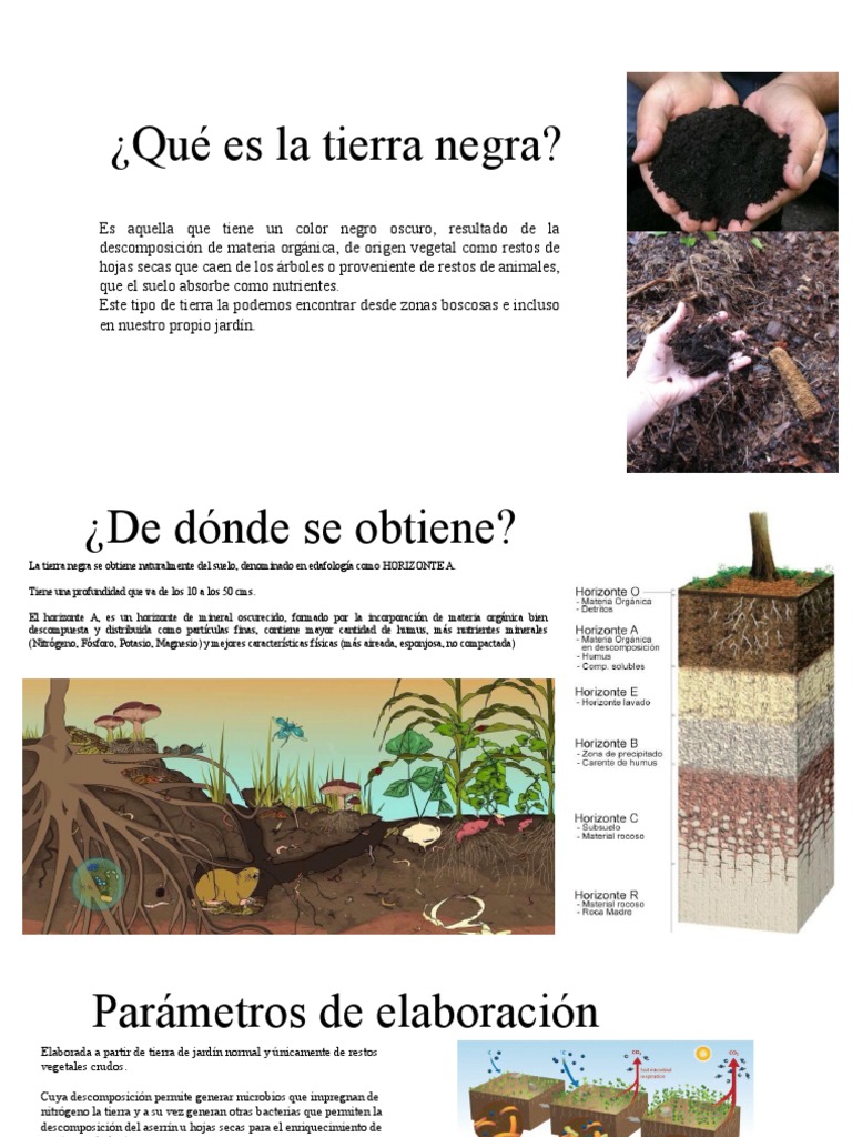 Características y usos de la tierra negra | PDF | Suelo | Descomposición
