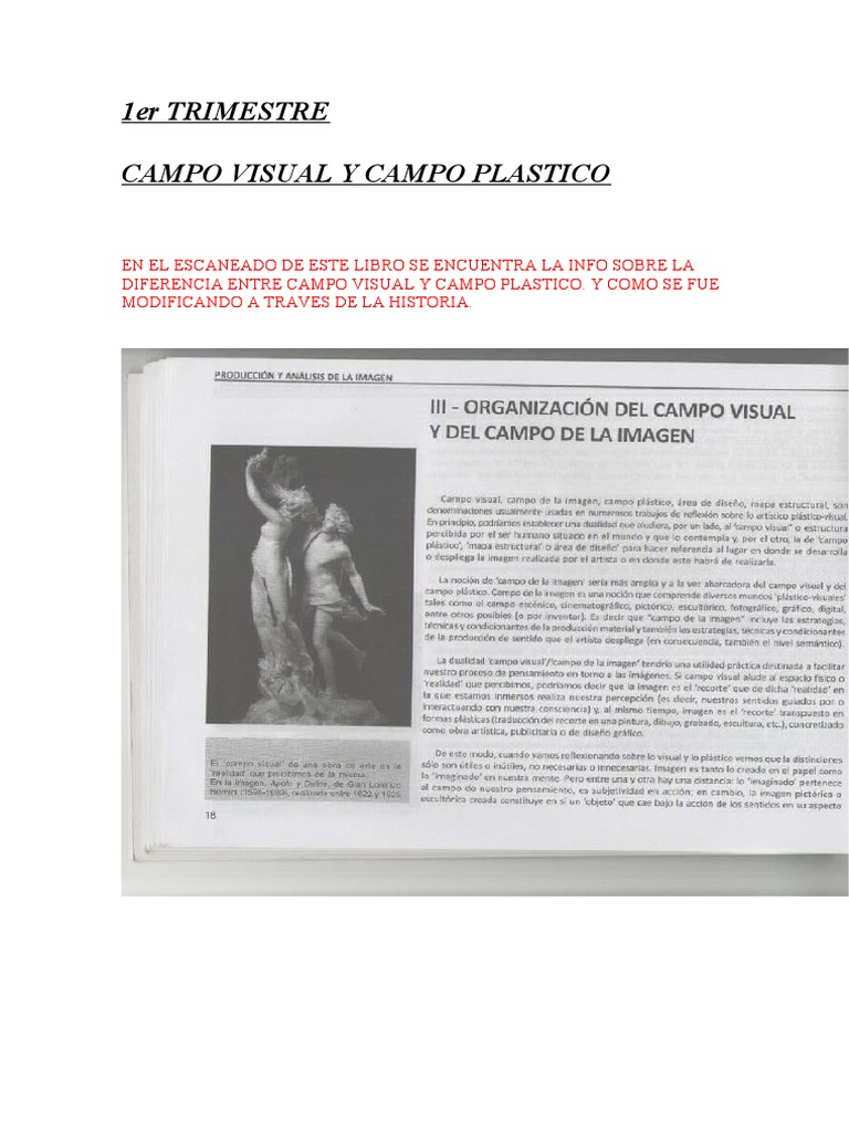 Diferencias entre Campo Visual y Plástico | PDF | Composición (artes ...