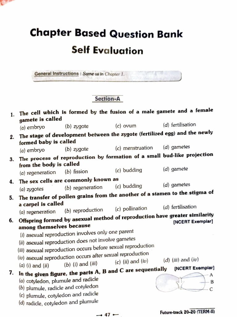 10th Imp Ques. CH - Reproduction | PDF | Reproduction | Fertilisation