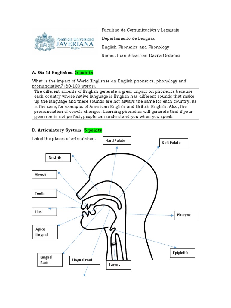 English Phonetics and Phonology Juan Davila | PDF | Phonetics | Human Voice