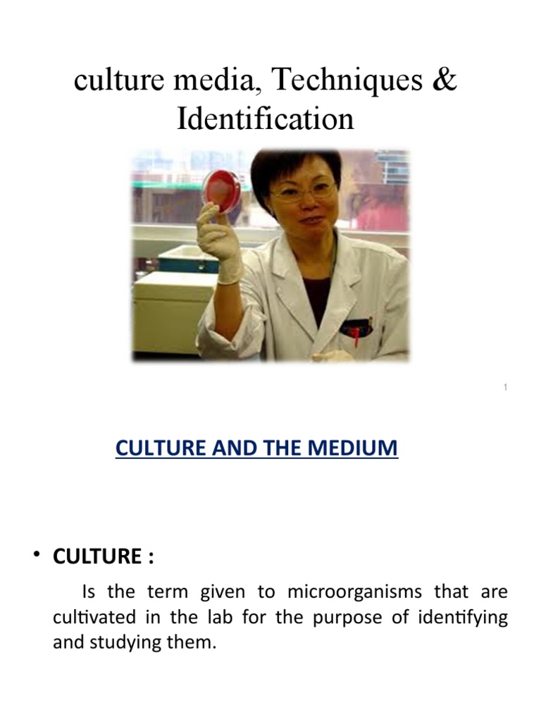 Culture Methods | PDF
