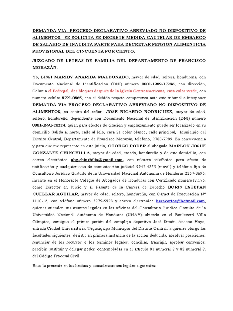 DEMANDA ALIMENTOS INAUDITA PARTE Mirtilia | PDF | Pensión alimenticia ...