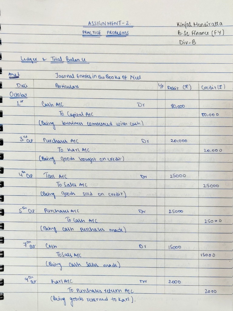 Accounting Journal and Ledger Entries | PDF