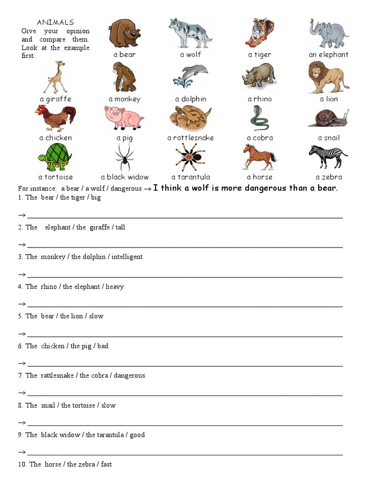 Comparing Animals 3 1 Pdf