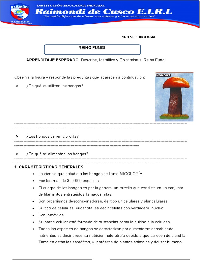 Semana 6 Reino, Fungi, Plantae y Animalia | PDF | Hongo | Plantas