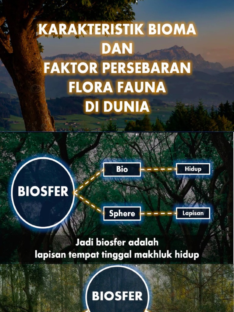 Karakteristik Bioma Dan Faktor Flora Fauna Dunia | PDF