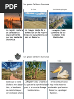 Flora y Fauna de Puno | PDF