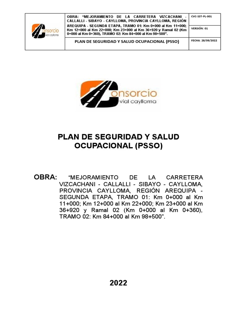 CVC SST PL 001 2022 Plan de SST | Descargar gratis PDF | Seguridad y salud ocupacional | Valores