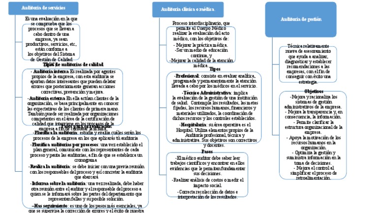 Esque Ma | PDF | Auditoría | Business
