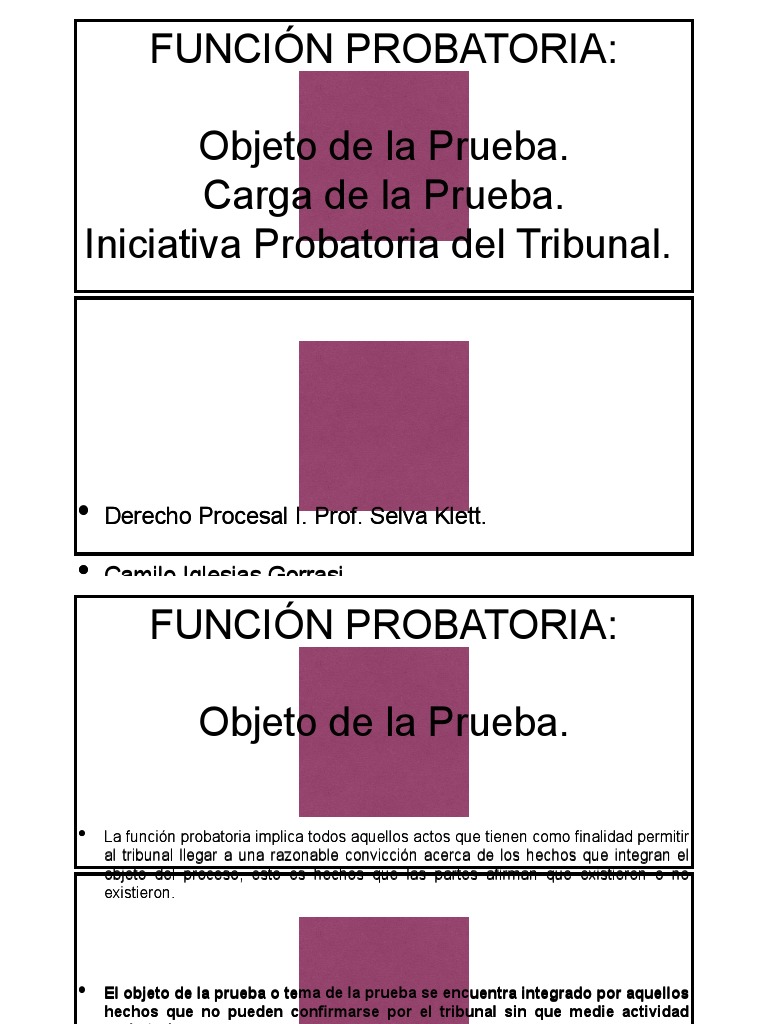Función Probatoria PDF | PDF | Evidencia (ley) | Ley procesal