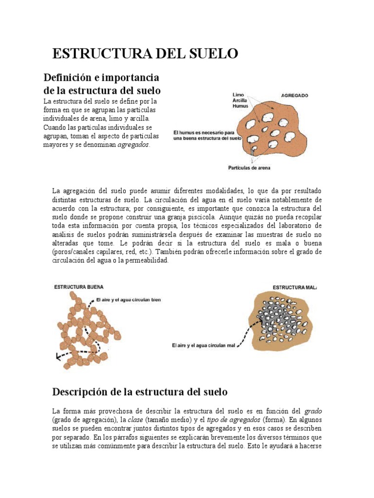 Estructura del Suelo: Definición y Tipos | PDF | Suelo | Agua