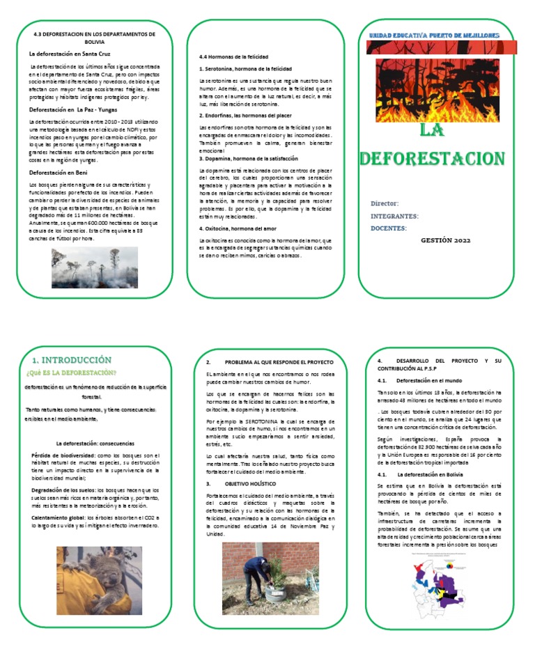 Tríptico DEFORESTACIÓN | PDF | Deforestación | Los bosques